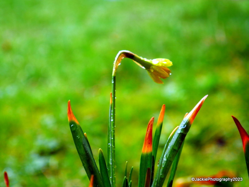 Interlude | ThingsBeautiful | Blipfoto