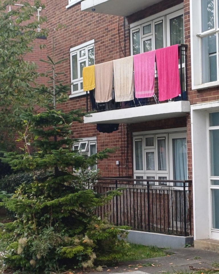 Wet or dry... | peterdawson28 | Blipfoto