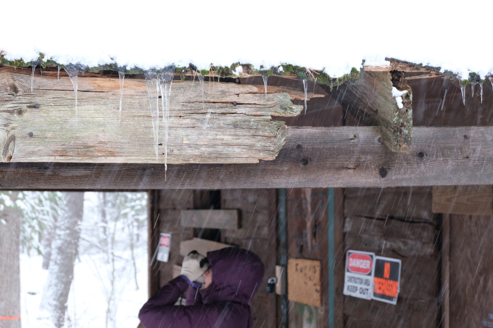 Eavesdropping or just dropping eaves | brentastic | Blipfoto