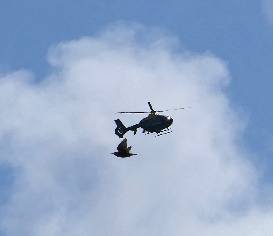 AIRPROX INCIDENT | CarolineJay | Blipfoto