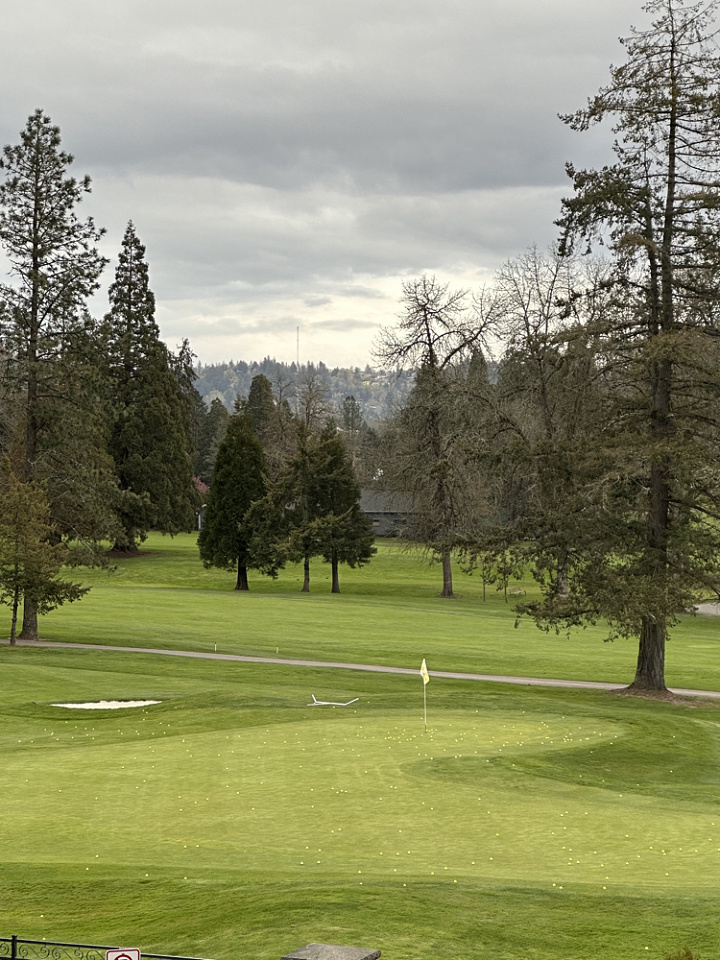 Golf Day | seniormoments | Blipfoto