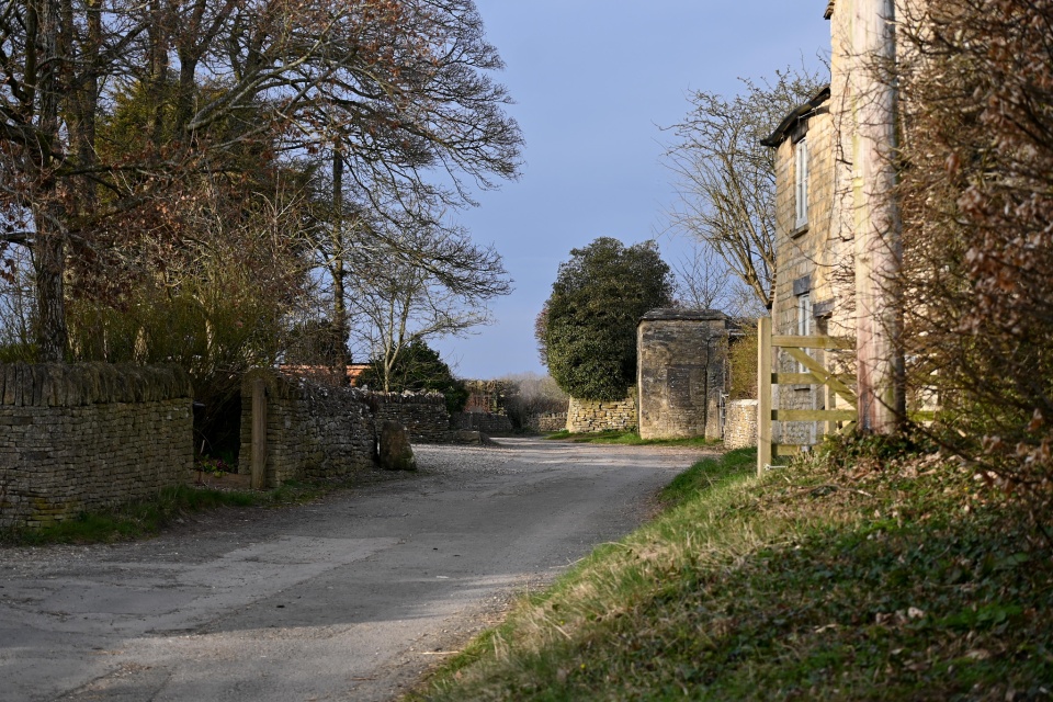 Looking up the lane | Stiffknees | Blipfoto