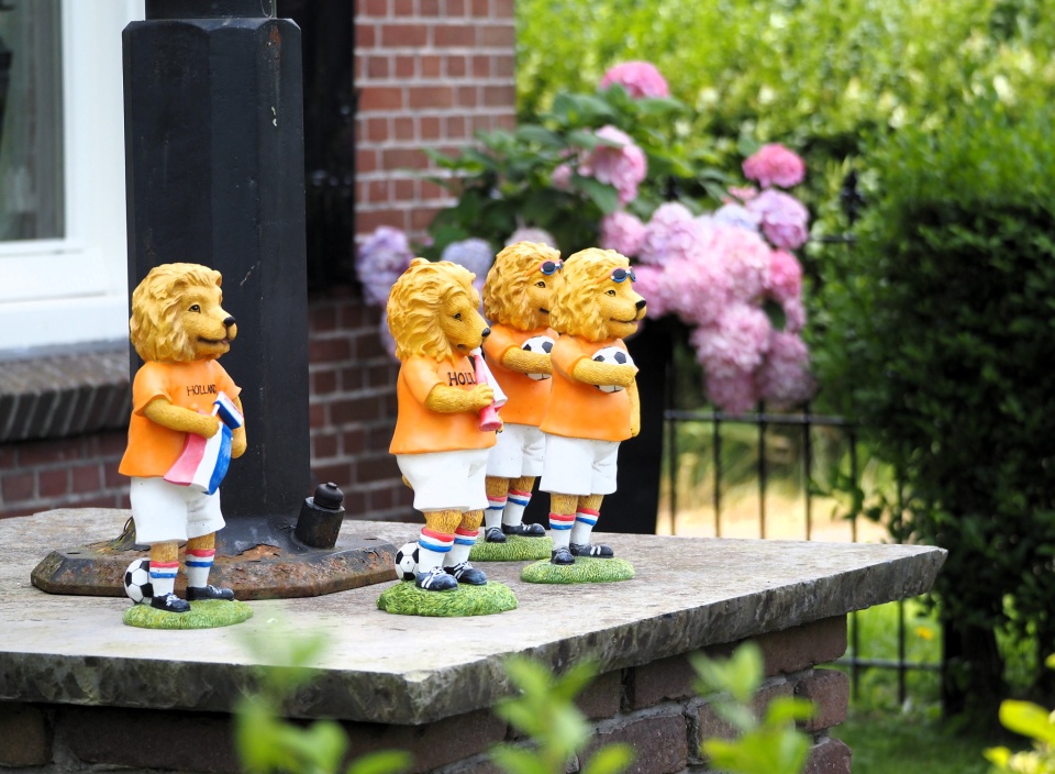 Dutch... | pkln | Blipfoto