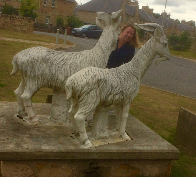 Johnstones of Elgin | MOLOH | Blipfoto