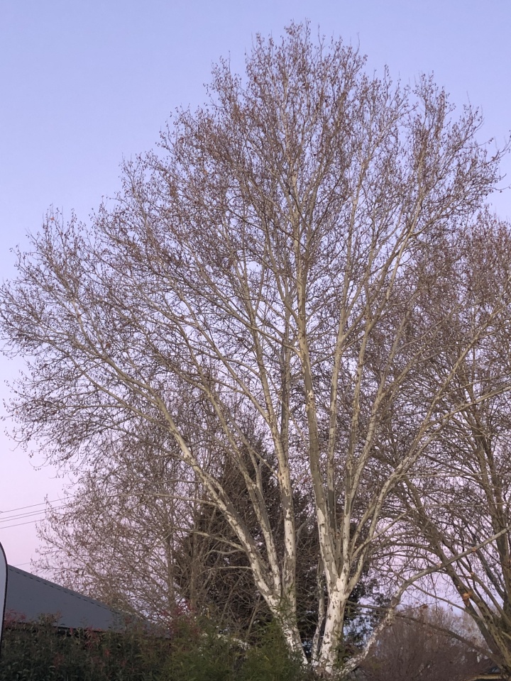 Winter | 59 | Blipfoto