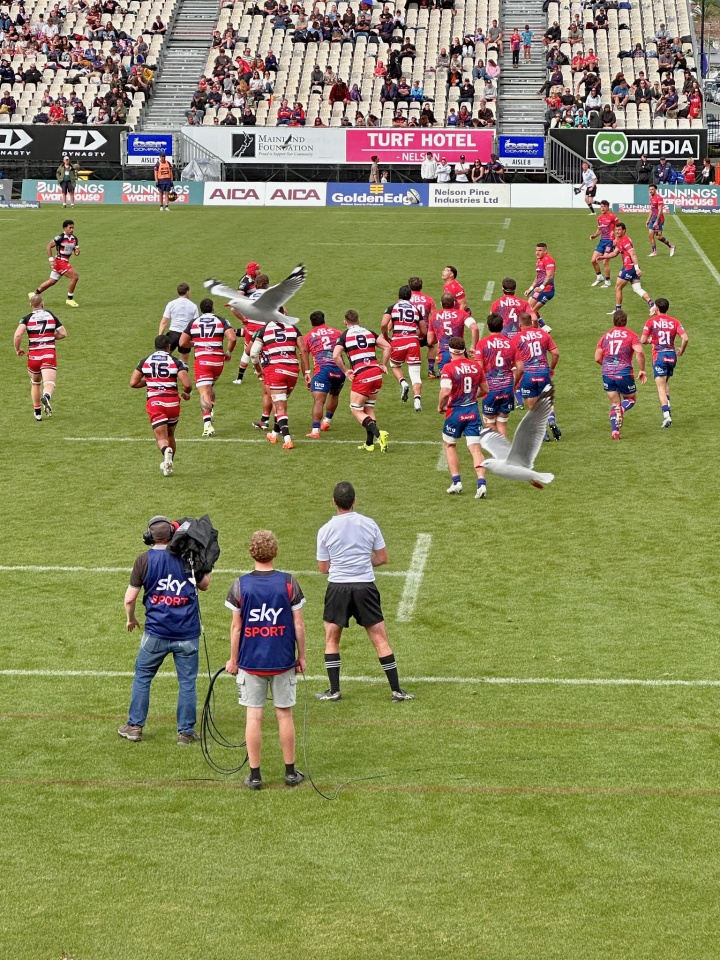 Birds eye view! | AndrewNZ | Blipfoto