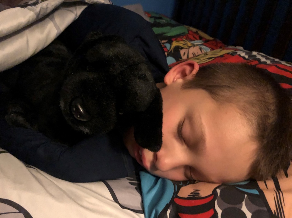 Snuggled Up Close | TurtleBug | Blipfoto