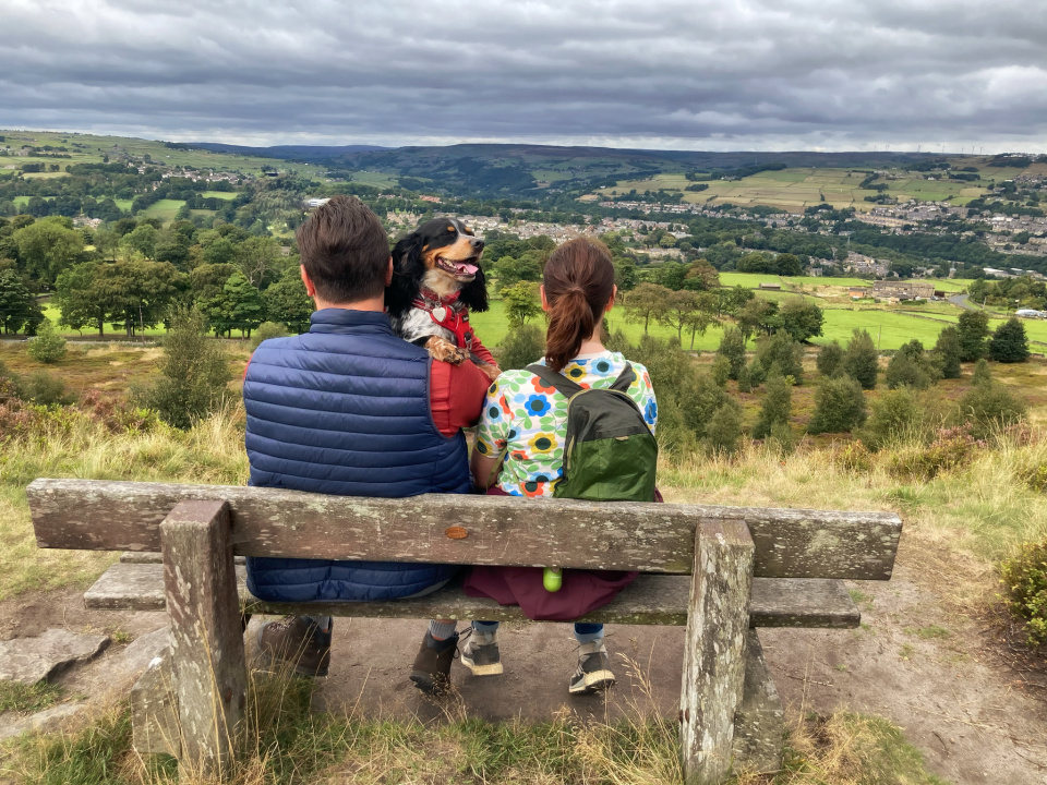 Exceedingly Good | mambo | Blipfoto