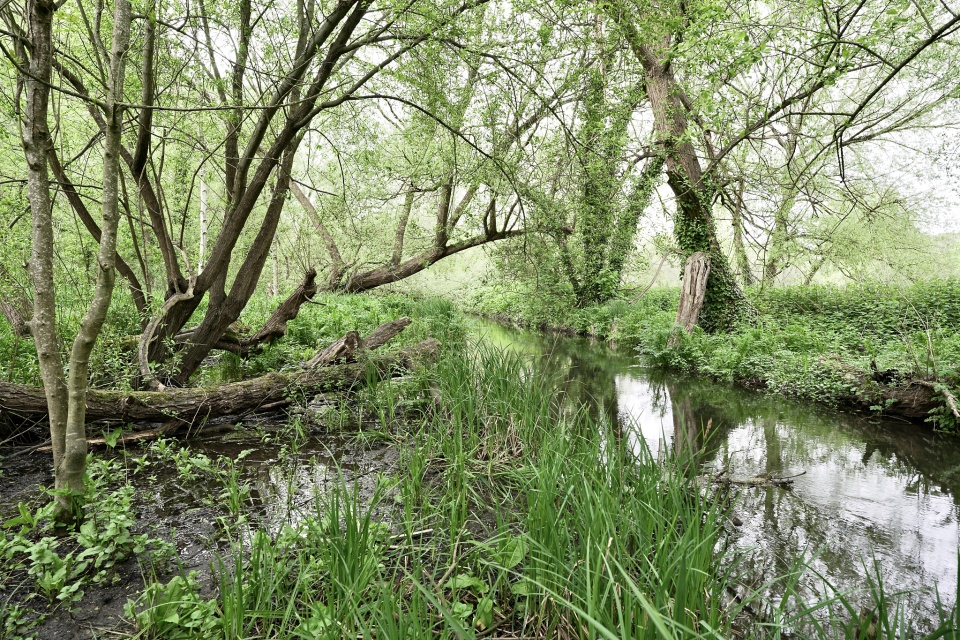 Ems Spring | lesmark | Blipfoto