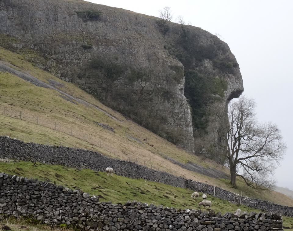 Kilnsey Crag | sheilwill | Blipfoto