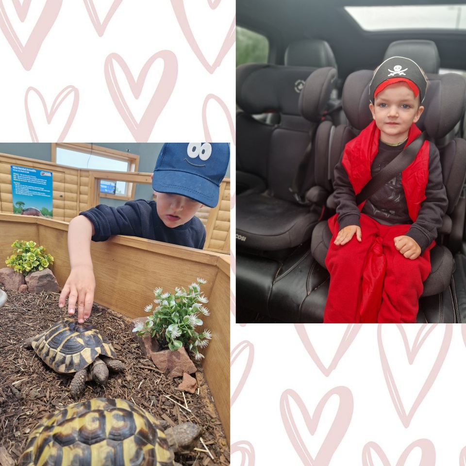 New friend. | MumOf4Wildlings | Blipfoto