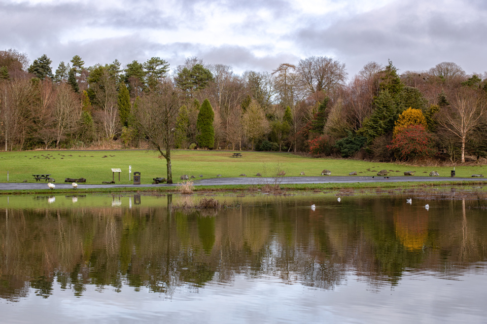 Curling Pond... | Damnonii | Blipfoto