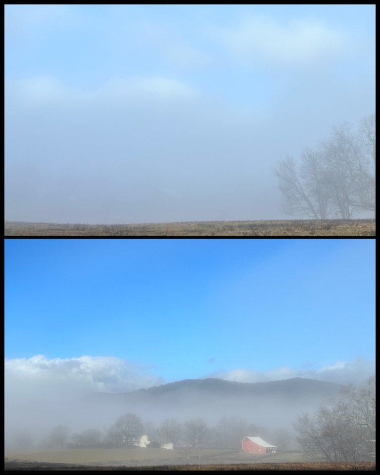 Misty | Kimb | Blipfoto