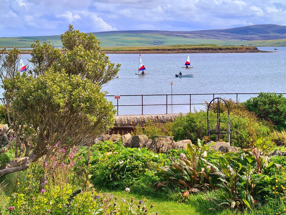 WATCHING | EllyJay | Blipfoto