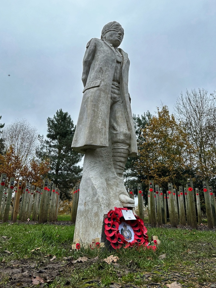 Shot at Dawn | Technophobe | Blipfoto