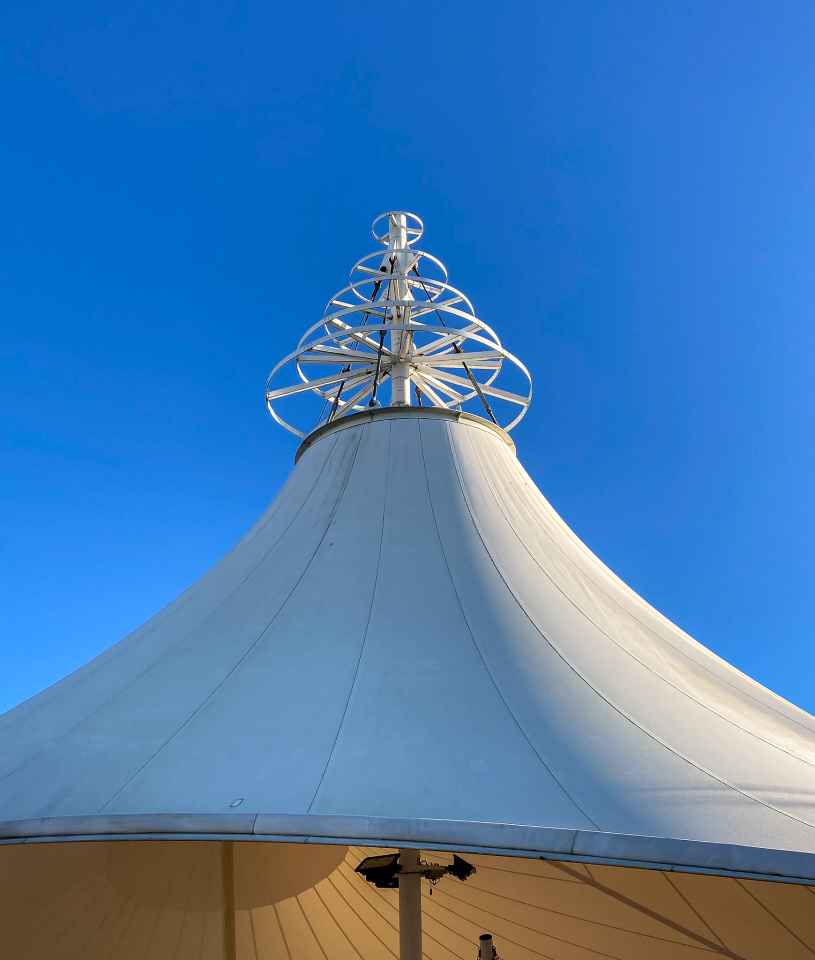 Giant Canopy | madwill | Blipfoto