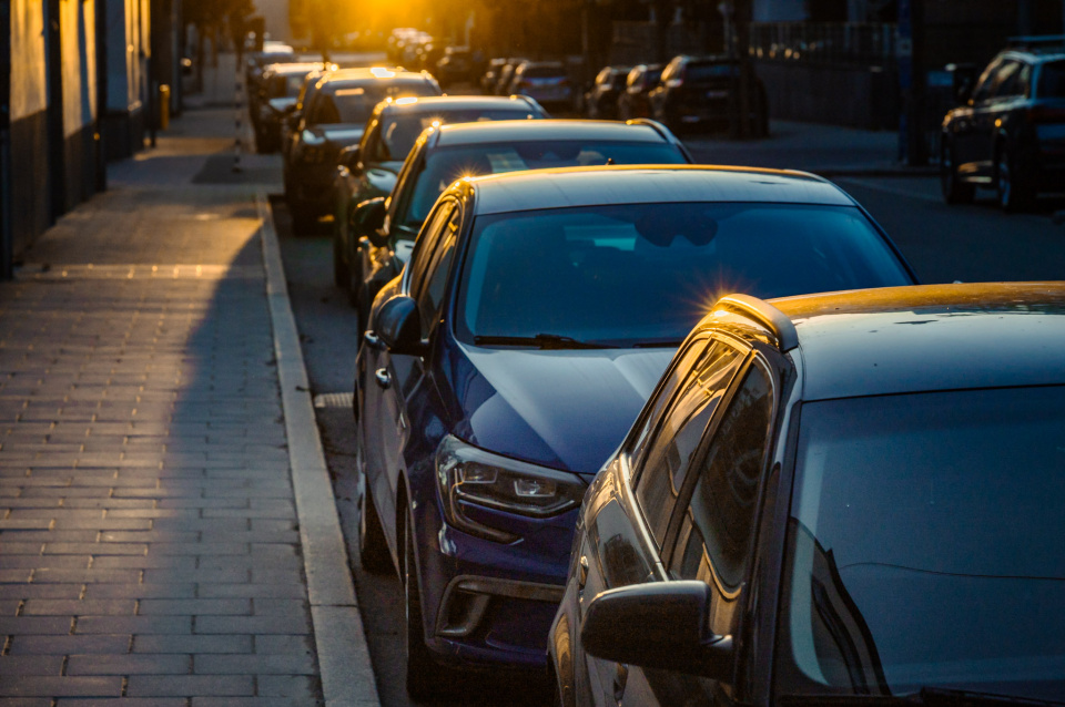 Warm evening sun | BengtCarlsson | Blipfoto