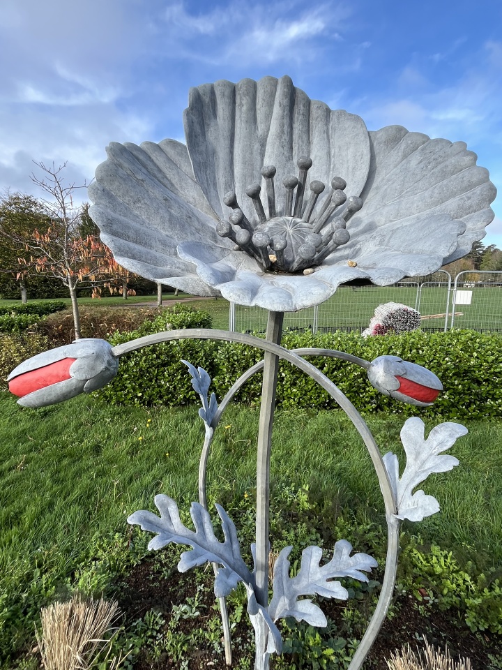Poppy | cmblow | Blipfoto