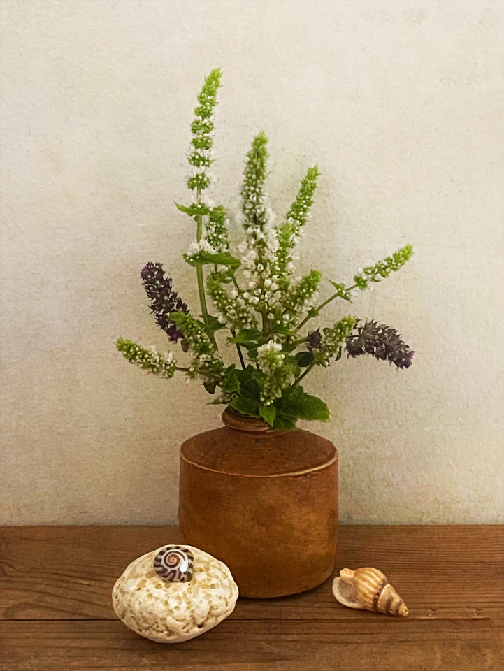 mint & thyme flowers | sk | Blipfoto