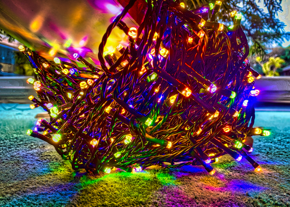 Not too bright | Incredibish | Blipfoto