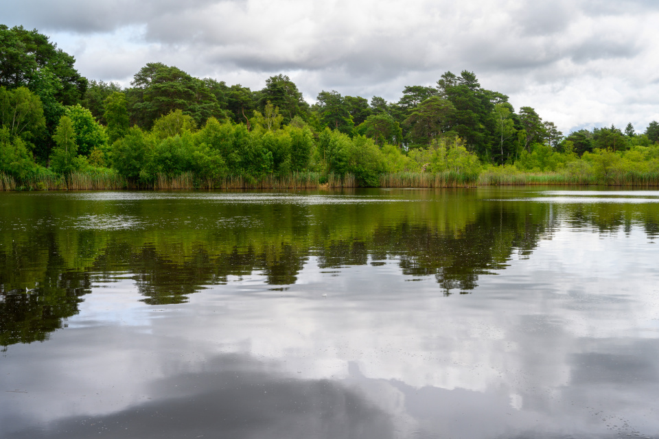 Rainy day reflections | NickyR | Blipfoto
