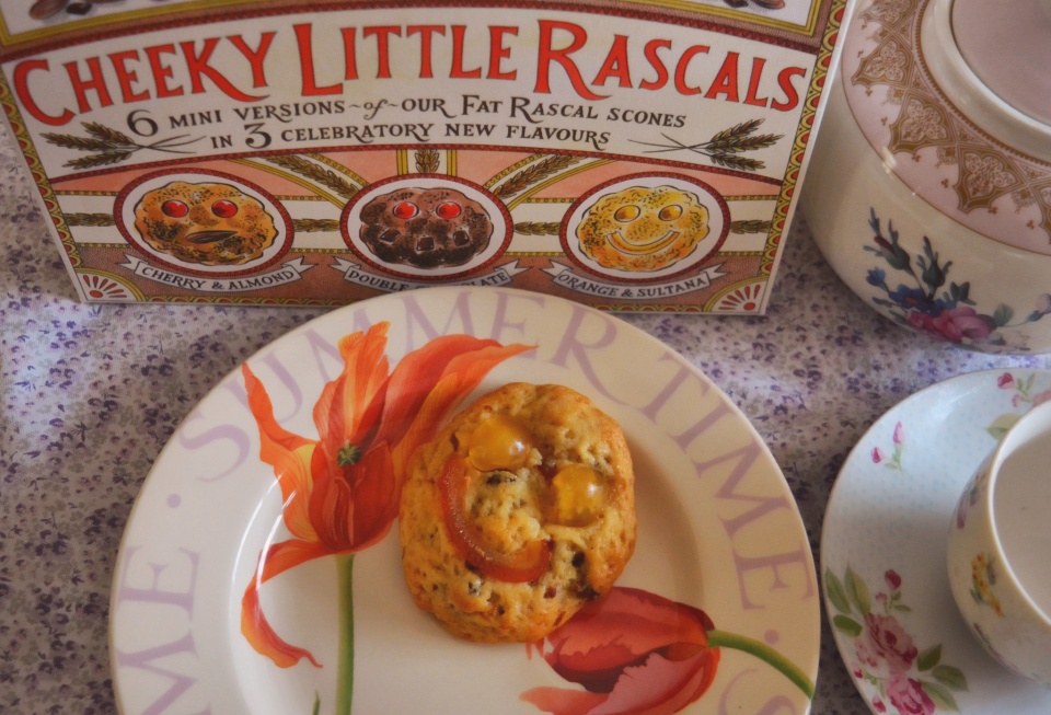 Cheeky Little Rascal | mambo | Blipfoto