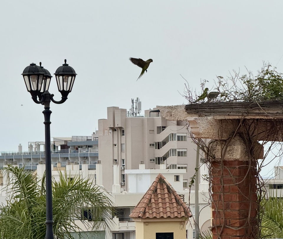 Incoming | AH14 | Blipfoto