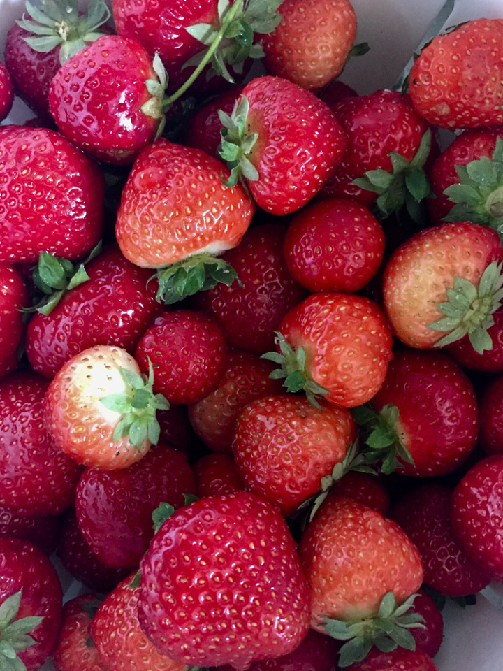 First Swedish strawberries | Lie | Blipfoto