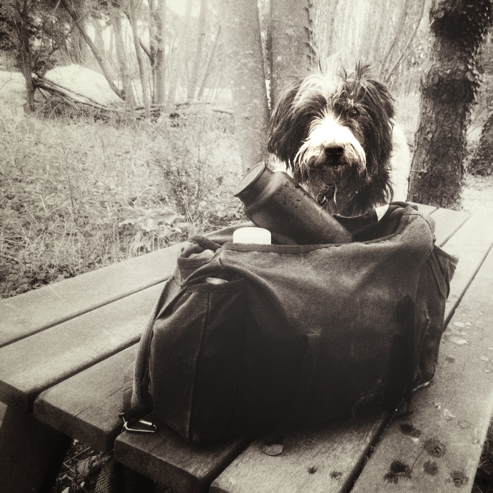 Woodland Walking | Radish | Blipfoto