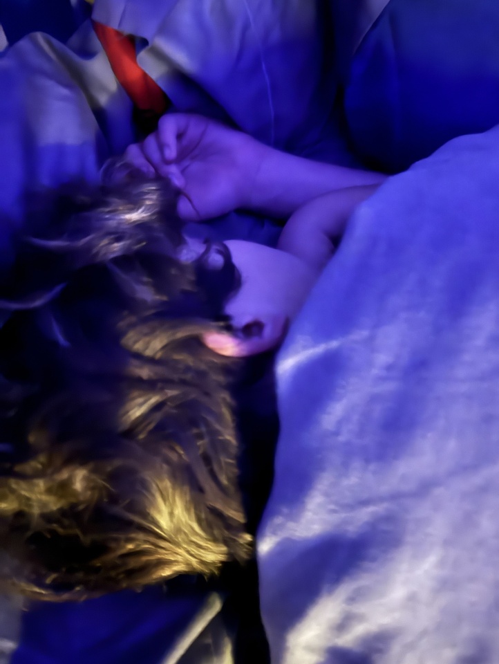 Sleepy Time Blues | TurtleBug | Blipfoto