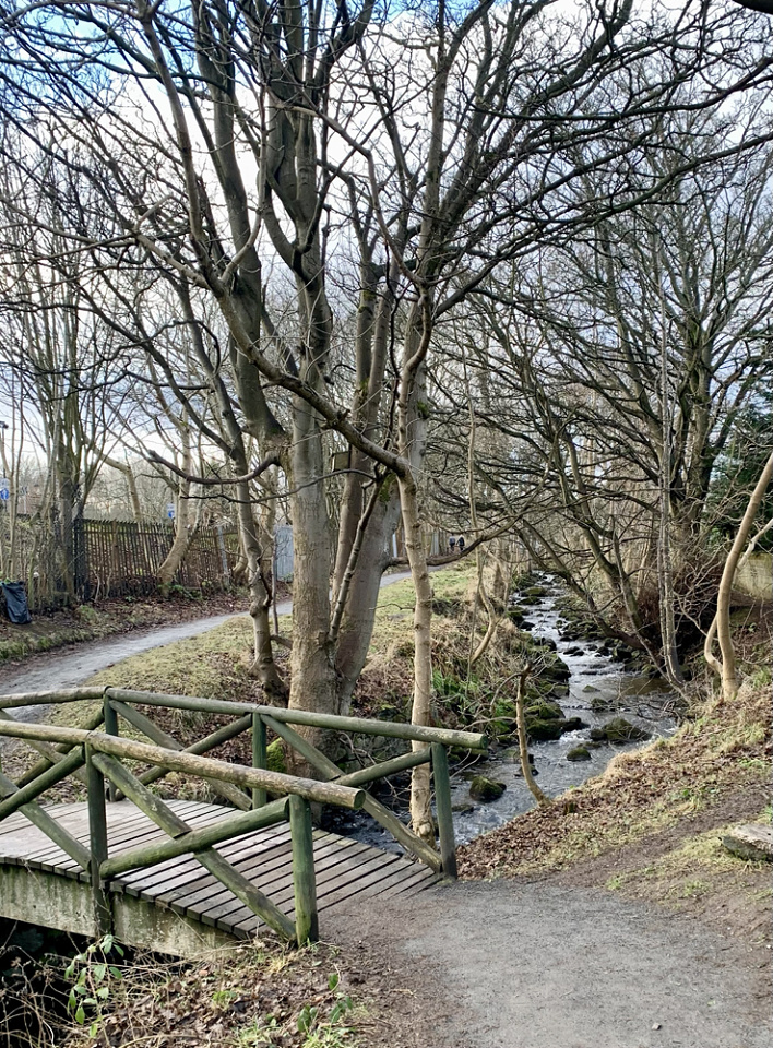 The Denburn | stswithin50 | Blipfoto