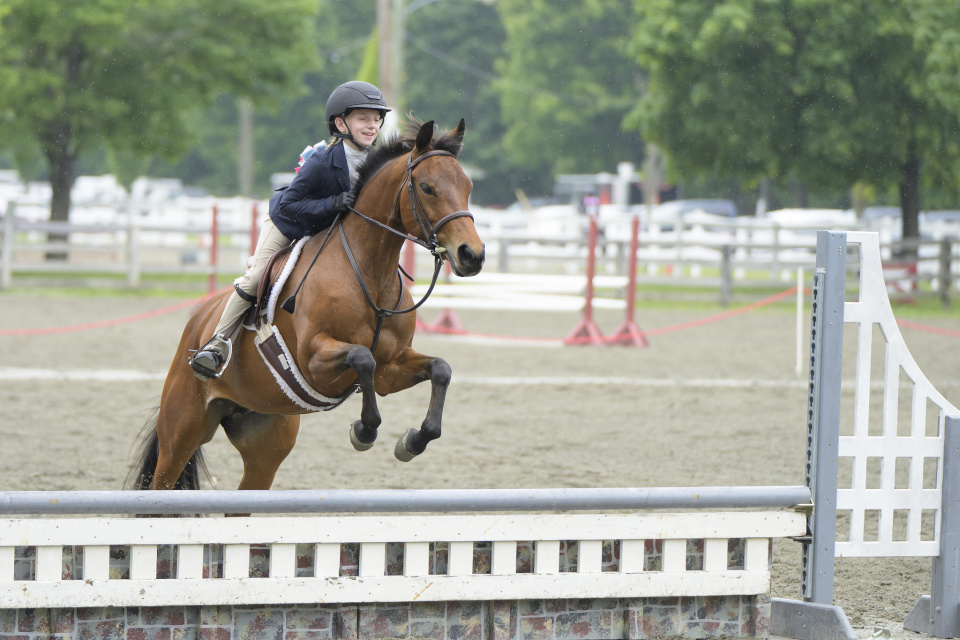 Joyful | dbifulco | Blipfoto