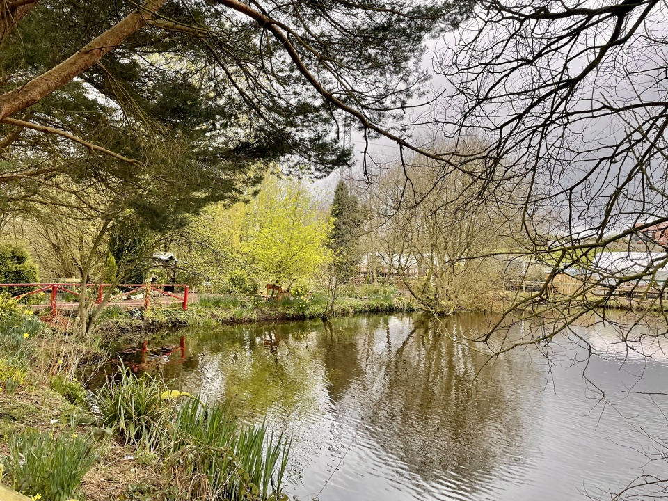 The Spring Equinox today…… | biddy | Blipfoto