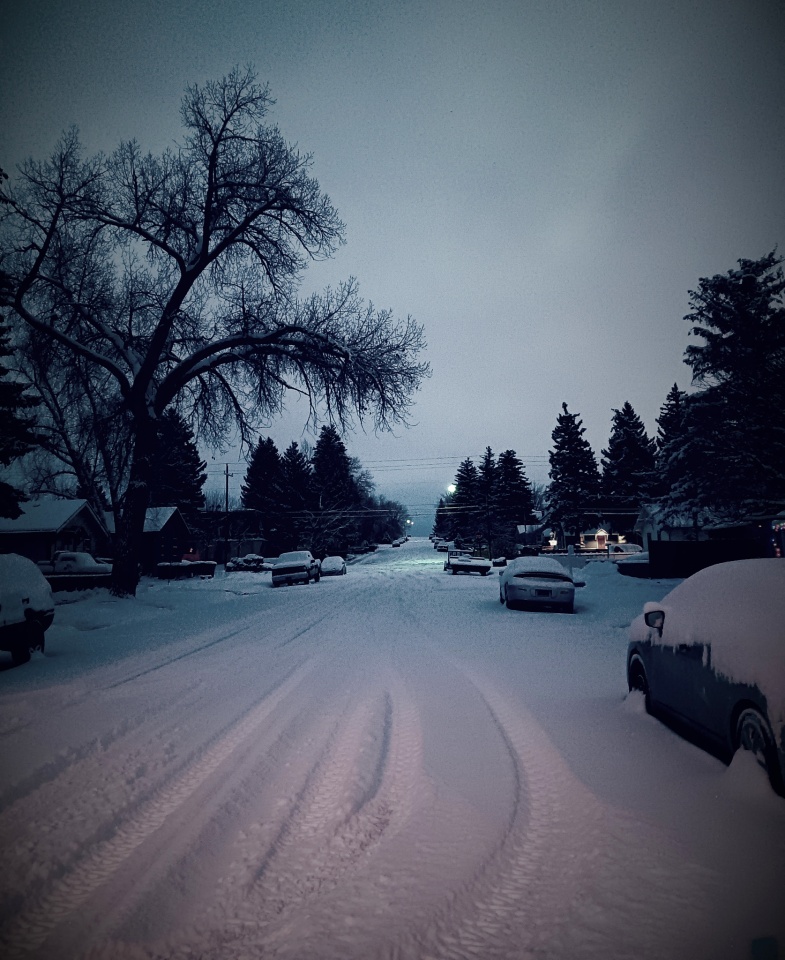 Snow!!!!! | TiciaS | Blipfoto