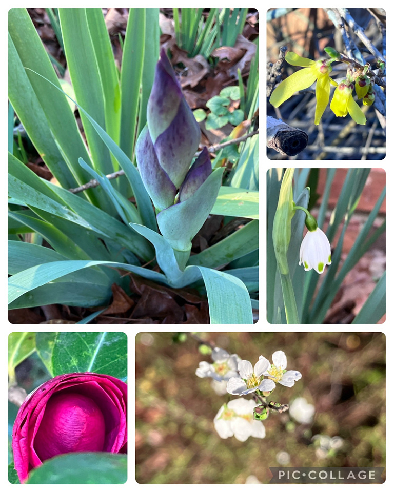 Springing | MaryElizaR | Blipfoto