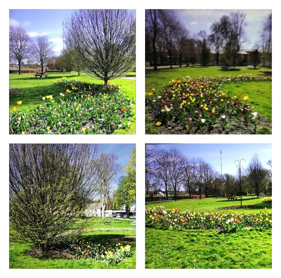 Haugh Park, Cupar | fifetourer | Blipfoto