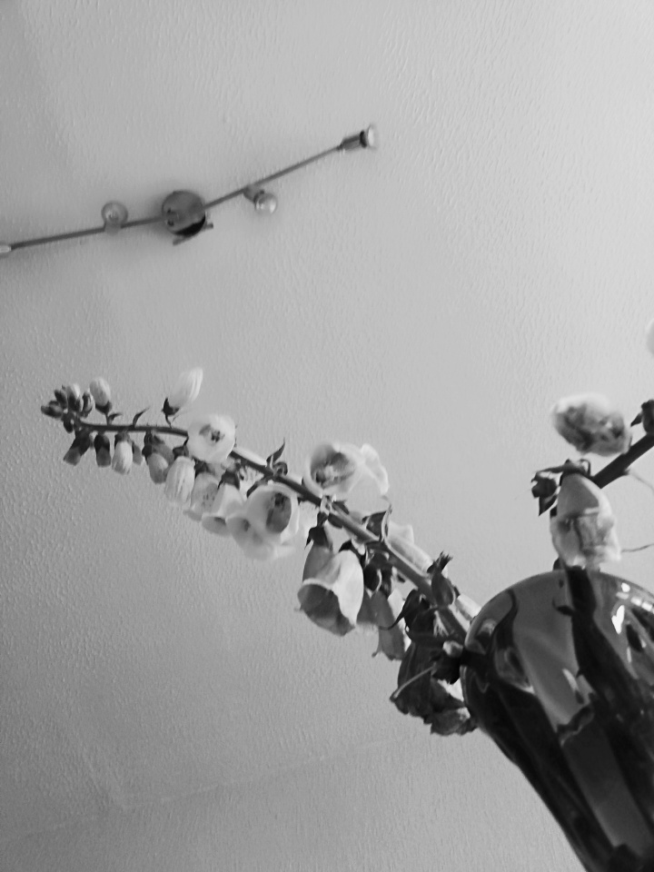 Looking up | ladypop | Blipfoto