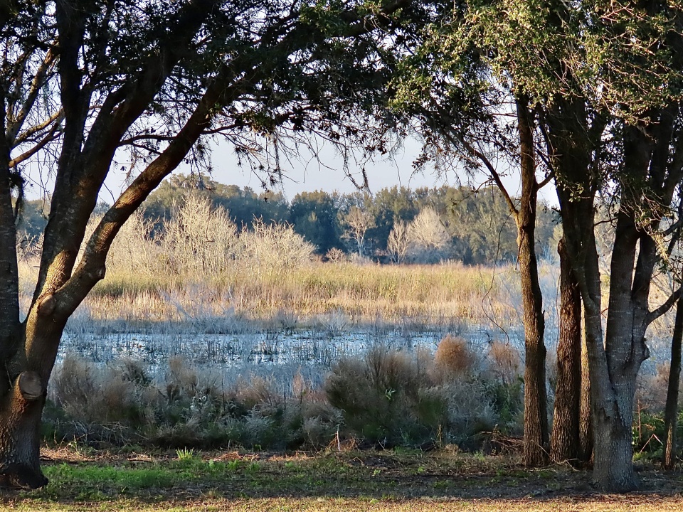 Lake Miona | Didyounotice | Blipfoto