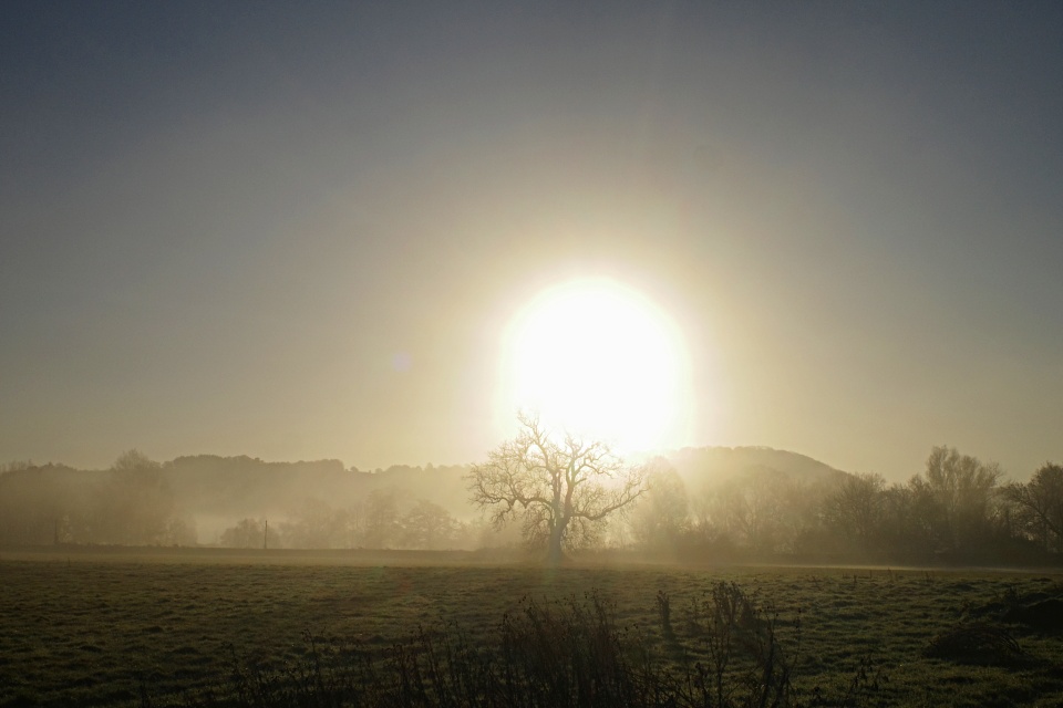 Morning Light | BobsBlips | Blipfoto