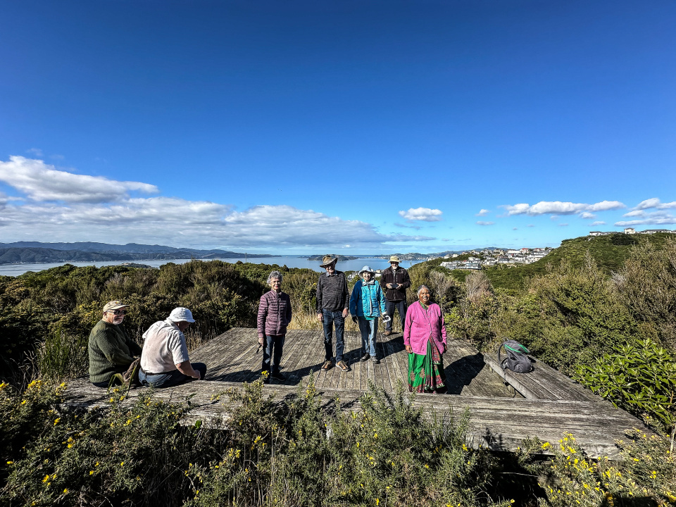 Gilbert Bush Reserve | TussockTales | Blipfoto