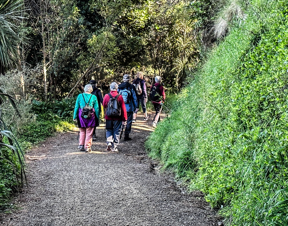 Monday walking | TussockTales | Blipfoto