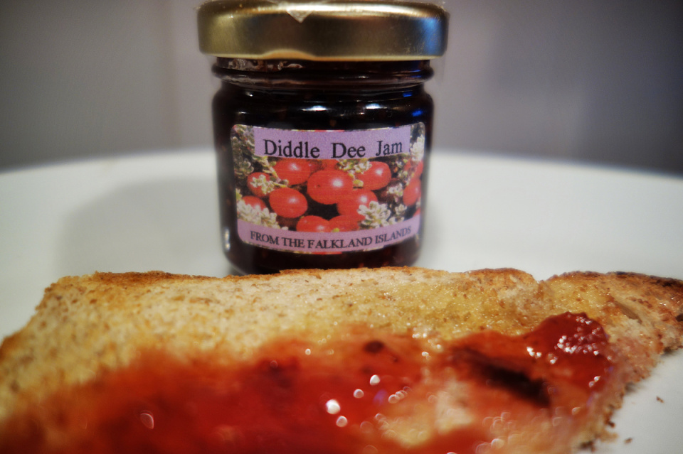 Diddle Dee Jam | shotbyrichie | Blipfoto