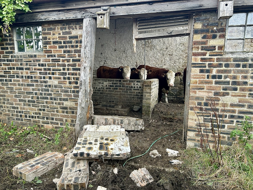 Just another brick in the wall…. | Farmerboab | Blipfoto