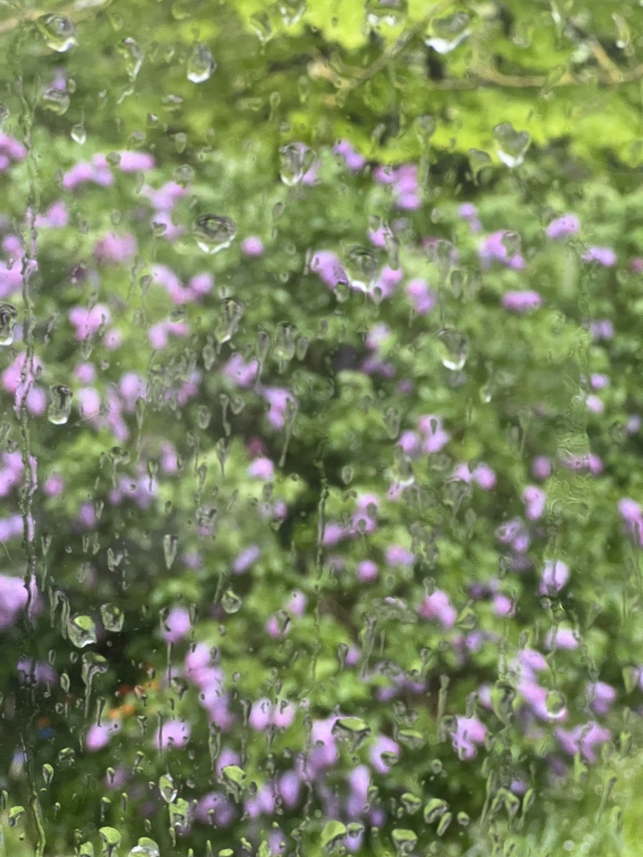 It May rain | Shelling | Blipfoto