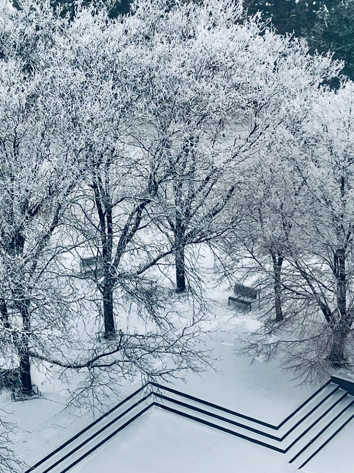 Transformation | stillandknow | Blipfoto