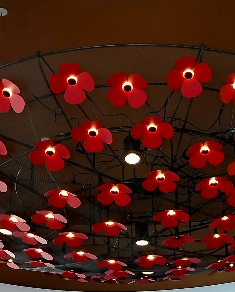 Red poppy lights - bright... | Gritty | Blipfoto