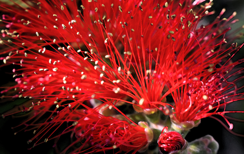 On fire | pixelpixie | Blipfoto