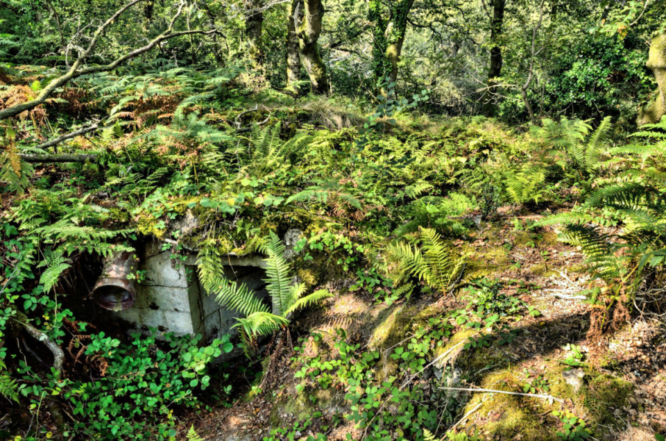 Remains of secret WW2 Auxiliary Units base, Dorset | PurbeckDavid49 ...