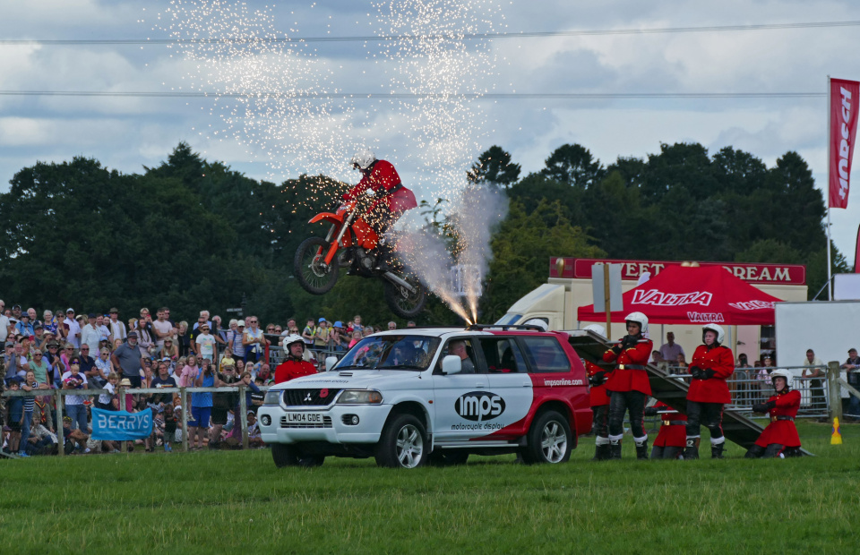 Flying Imp | NatureWatcher | Blipfoto