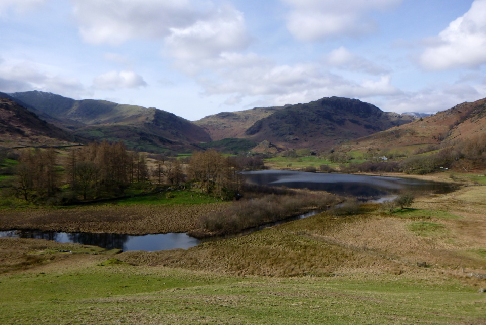 Perfect day for a run | rat | Blipfoto